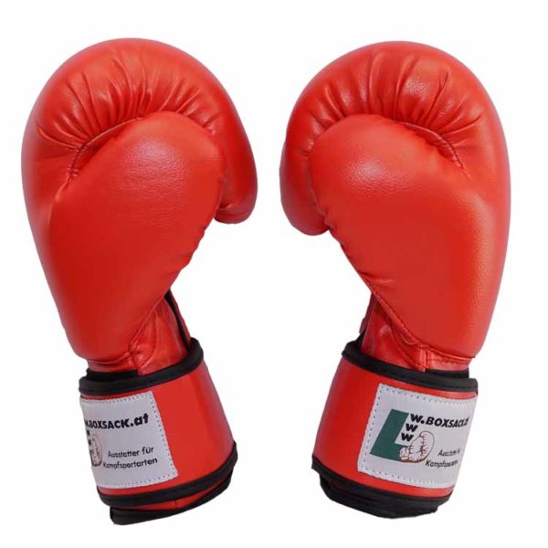 Boxhandschuhe für Kinder – JUNIOR STAR 6 oz 🥊